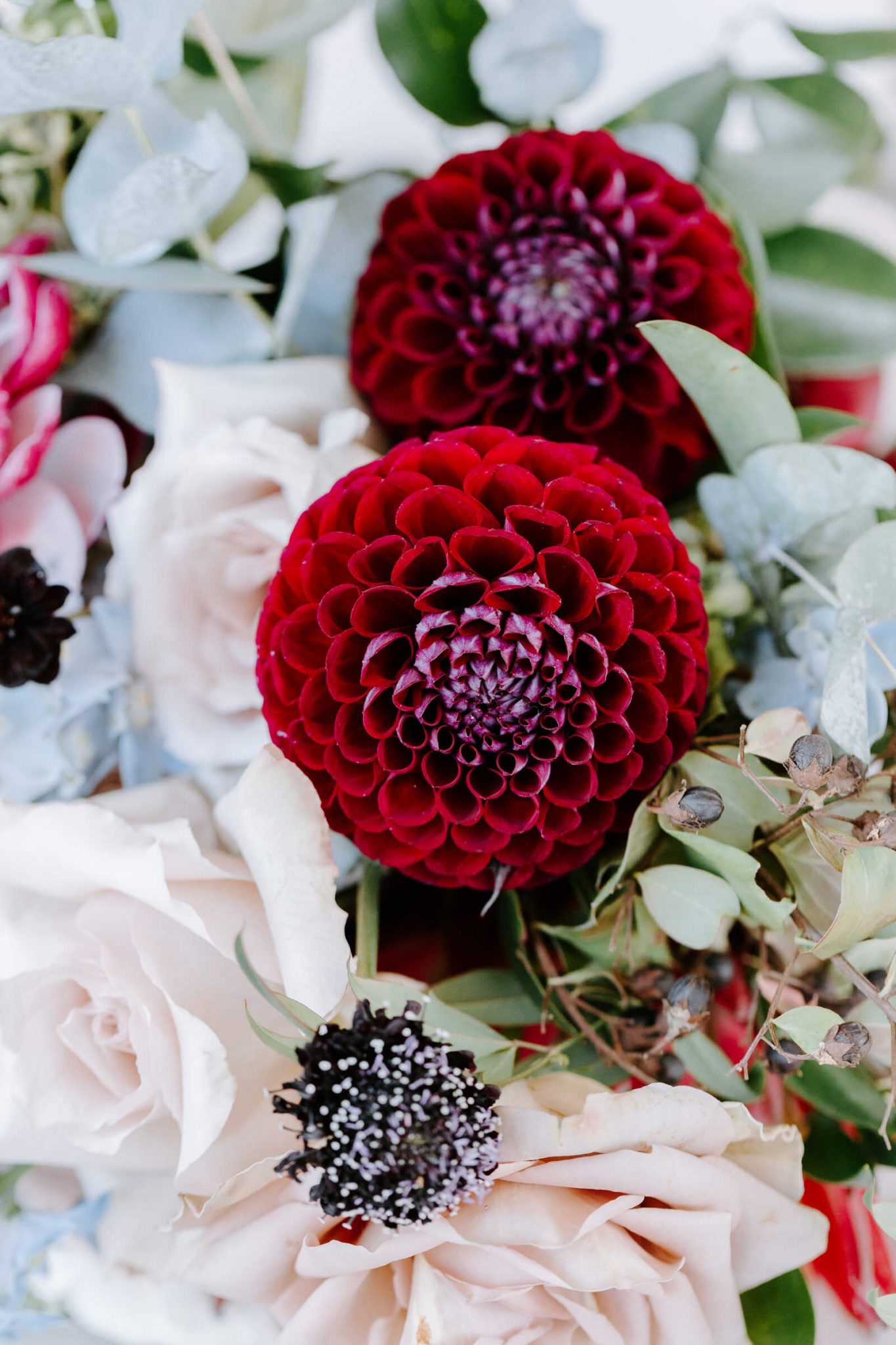Alli & Chris | Baltimore Weddings