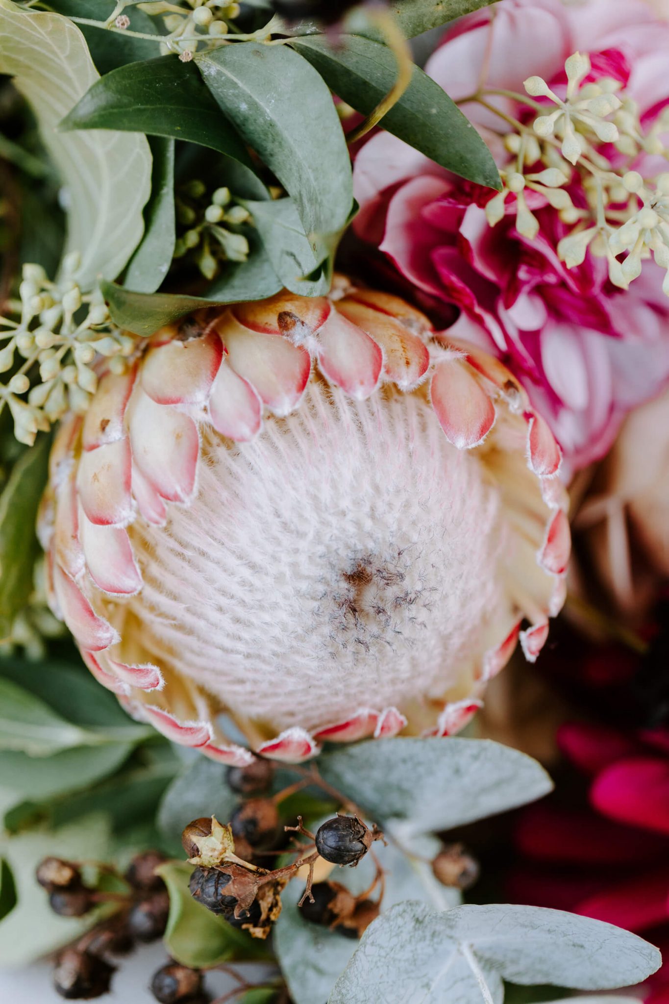 Alli & Chris | Baltimore Weddings
