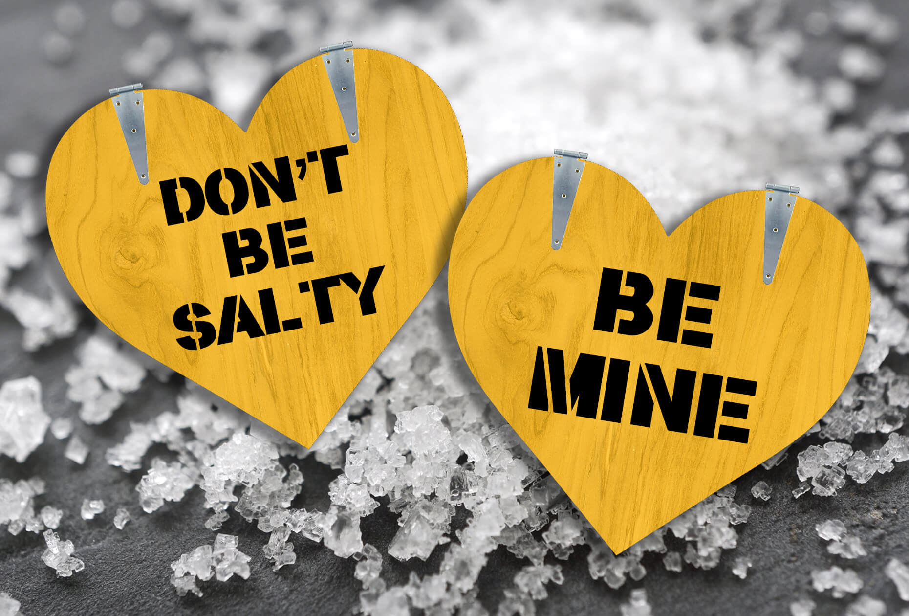 Won’t You Be My Valentine | Baltimore Weddings