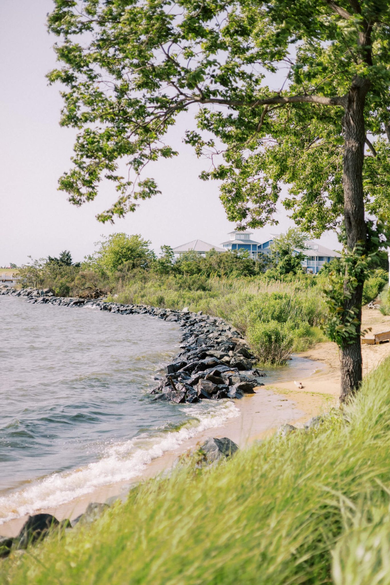 Alissa & Joseph | Winnie Dora Photography